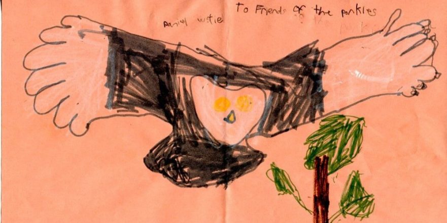 Youth Programs | Friends of the Porkies